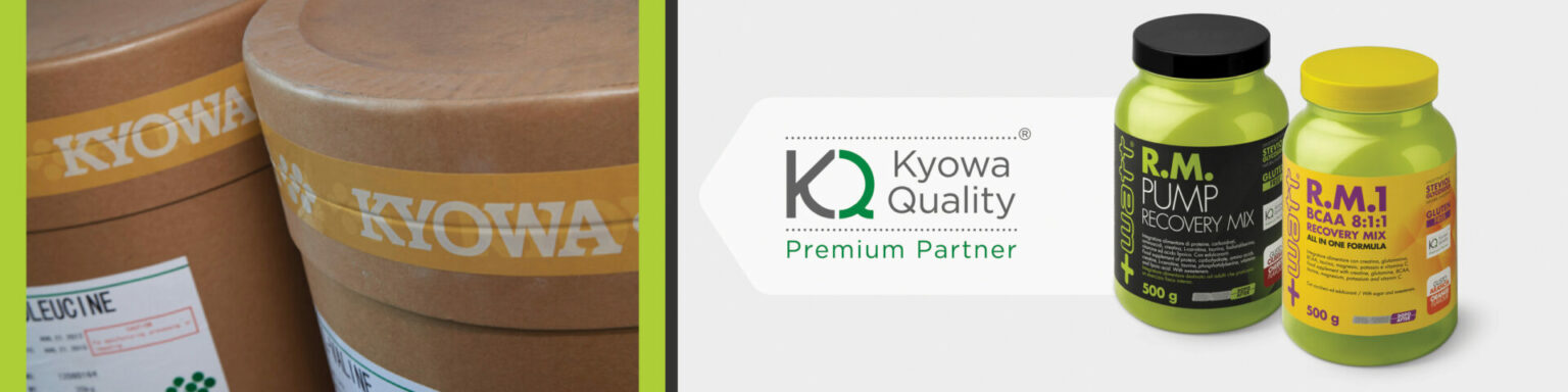 Kyowa Premium Partner | +Watt